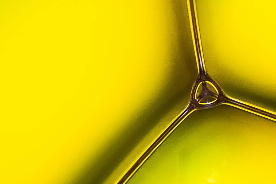 Friends of NCEE • NCEE