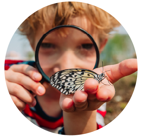 Middle School Science • NCEE